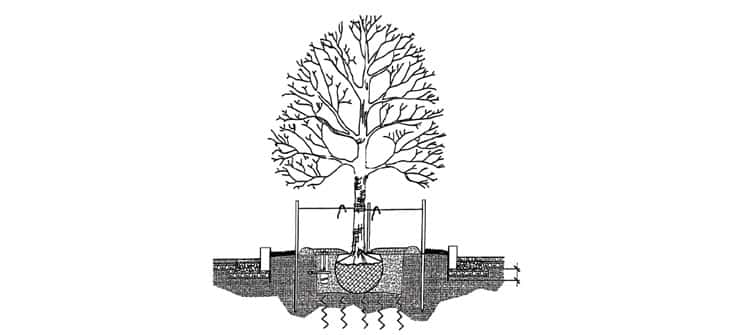 Tech Tips: Subsurface Water Management - American Constructors